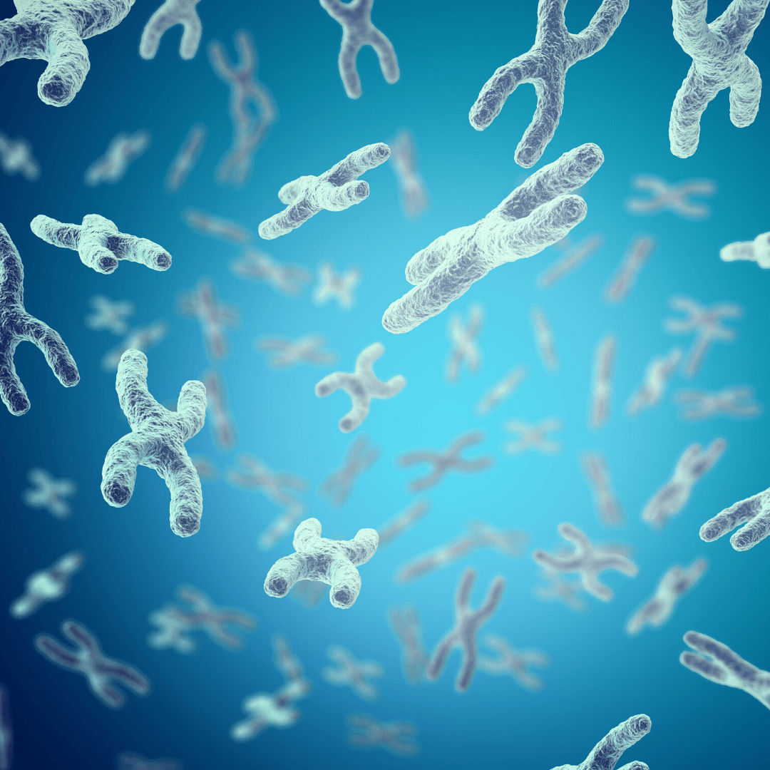 BIOMETRIX – MY DNA CHOICES.