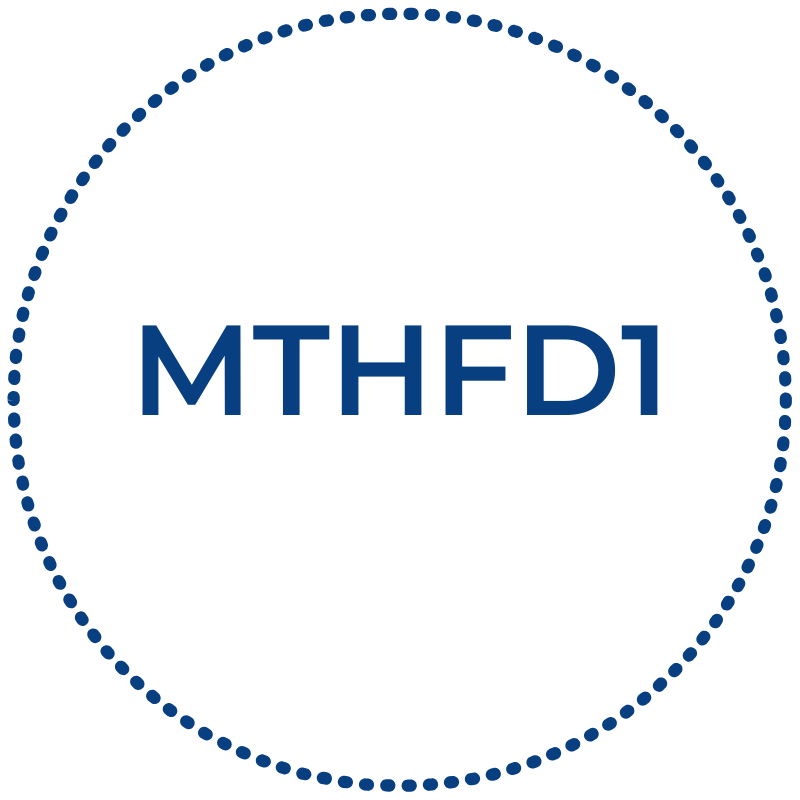 Intrinsi B12 Folate – MY DNA CHOICES.